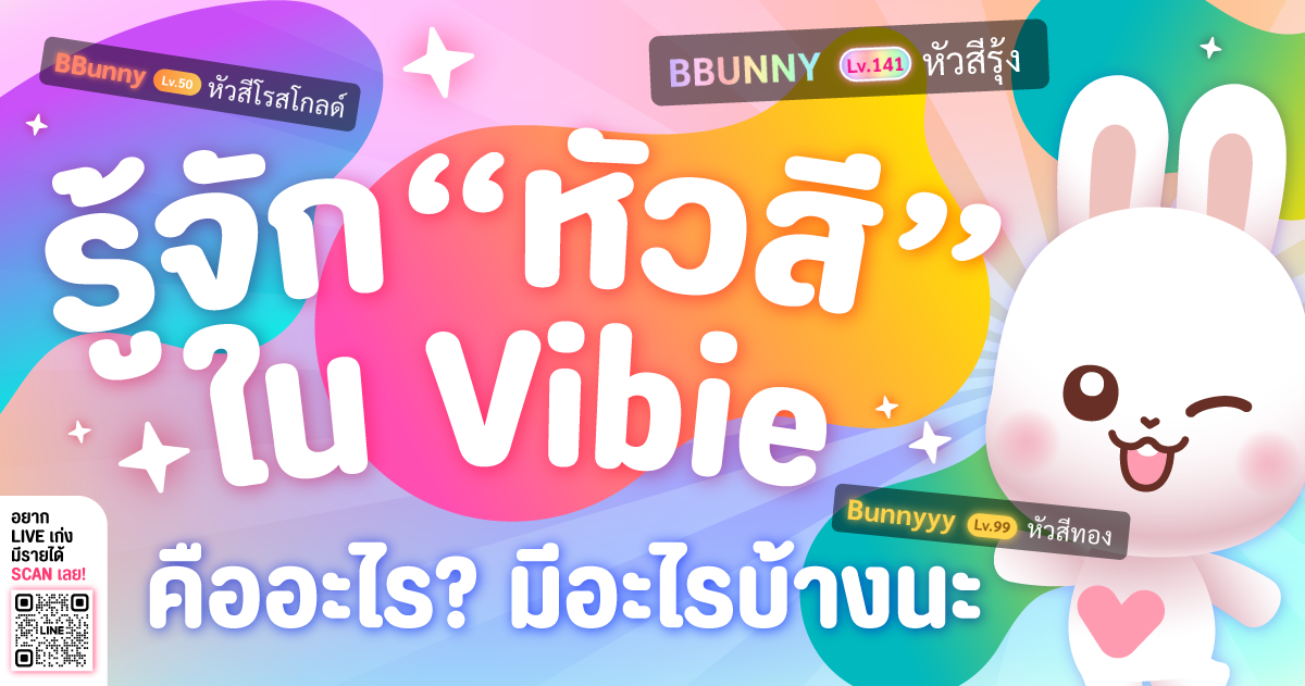 รู้จัก " หัวสี " ใน Vibie คืออะไร มีอะไรบ้าง – Vibie Live