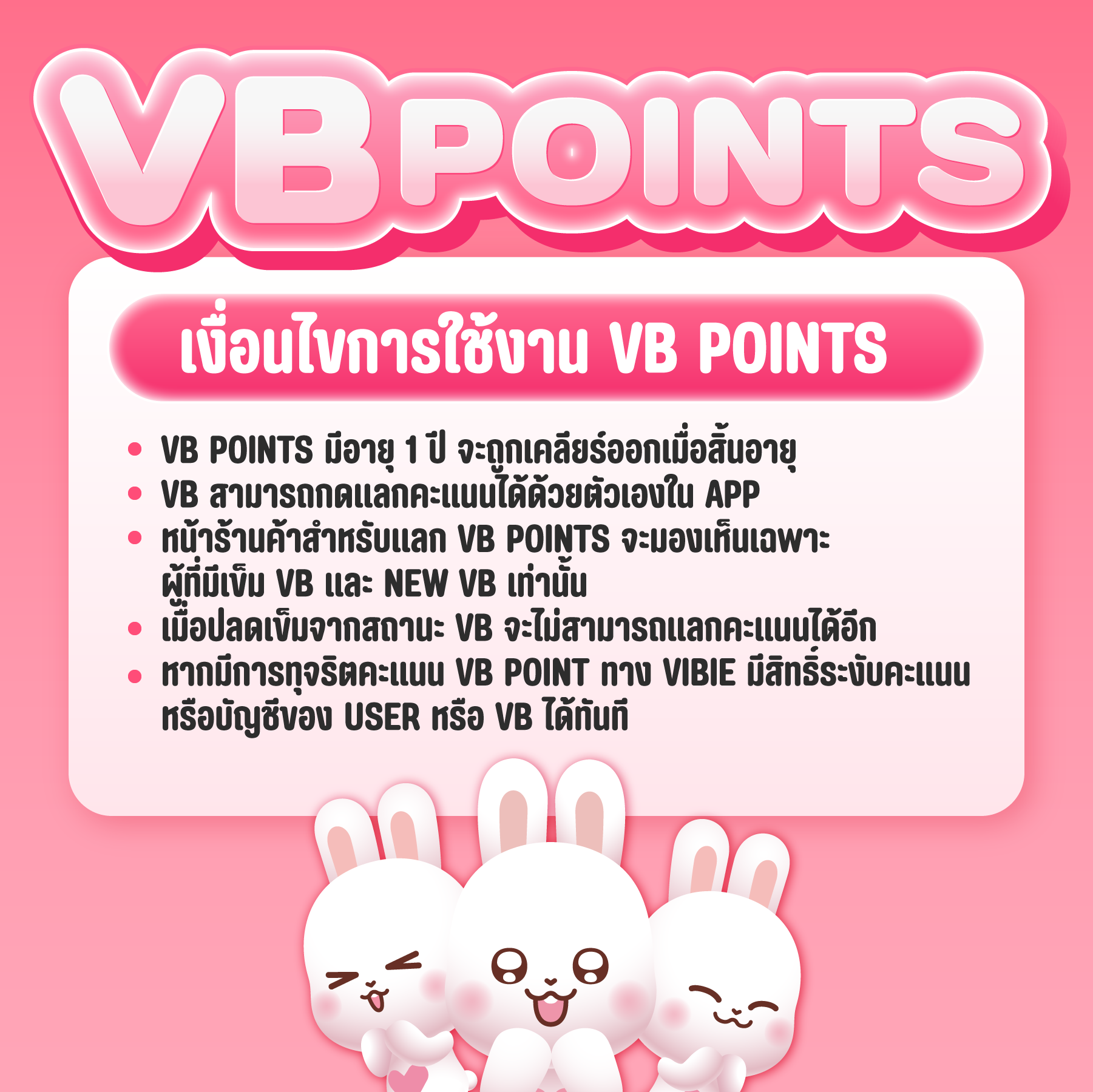 VB Point ความพิเศษของเหล่า VB คืออะไรกันนะ ? – Vibie Live